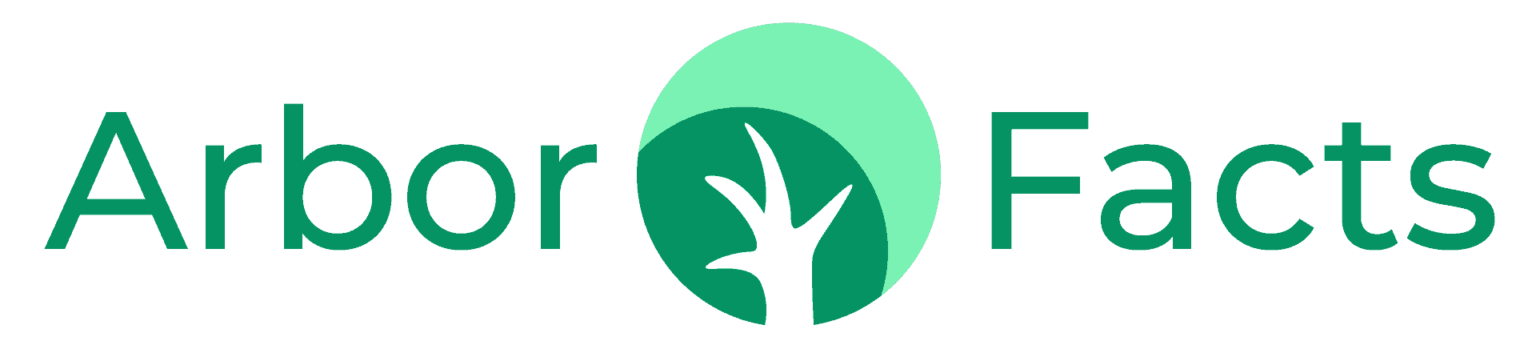 European Fan Palm: All You Need to Know - Arbor Facts